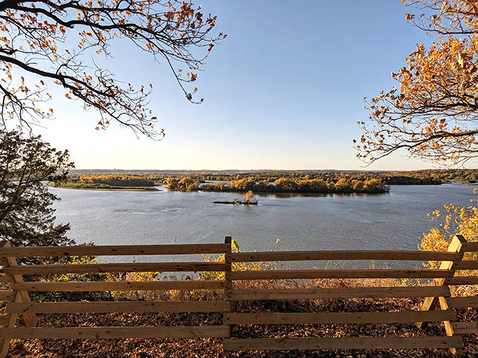 Spring Lake Park Reserve: Where the Mississippi River valley unfolds before you like nature's own IMAX experience, no overpriced popcorn required.