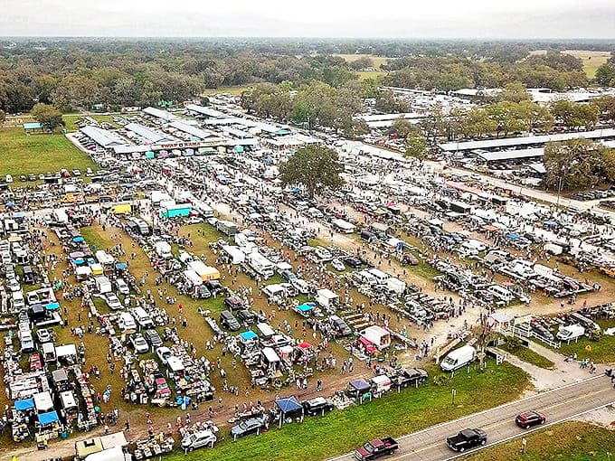 Webster's sprawling 35-acre marketplace transforms into a treasure hunter's paradise every Monday, drawing thousands seeking everything from antiques to fresh produce.