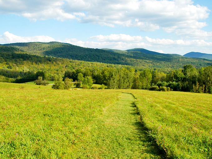 Rolling hills stretch toward the horizon at Taconic Mountains Ramble, where Vermont's landscape unfolds like a living postcard of perfect tranquility.