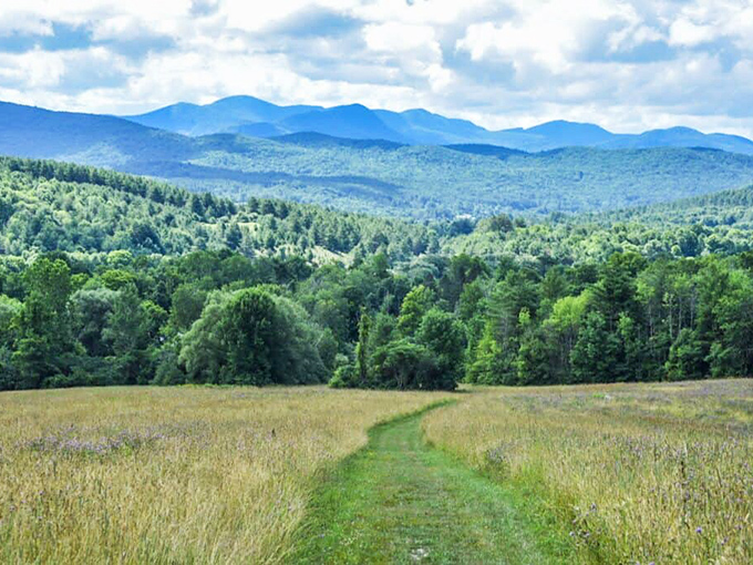 Vermont's rolling hills unfold like a verdant tapestry, inviting wanderers to follow that tempting mowed path into adventure.