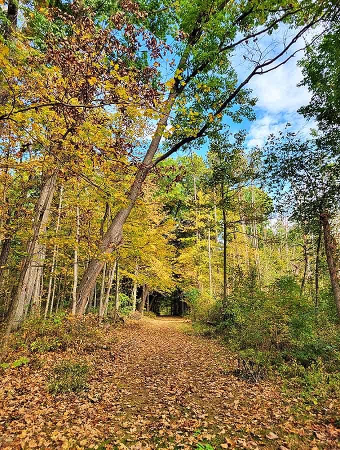 Lake Le-Aqua-Na State Park welcomes visitors with the kind of signage that says "yes, you're in the right place, now go have fun."