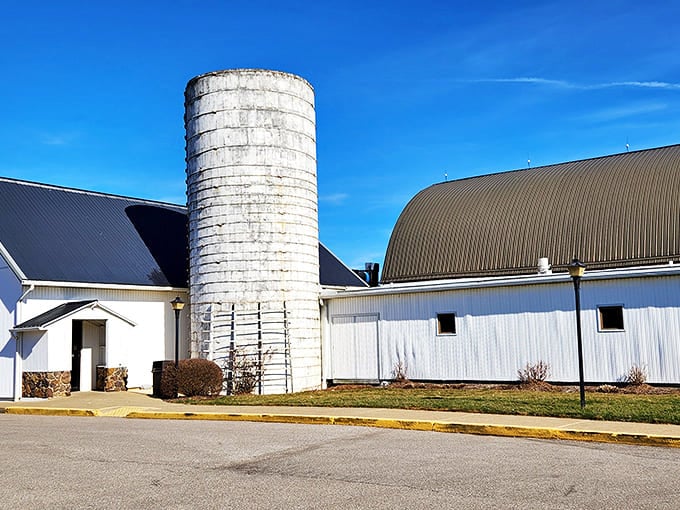 Exterior: A classic white barn with towering silo stands proudly against the Ohio sky, promising comfort food that'll make your heart sing.