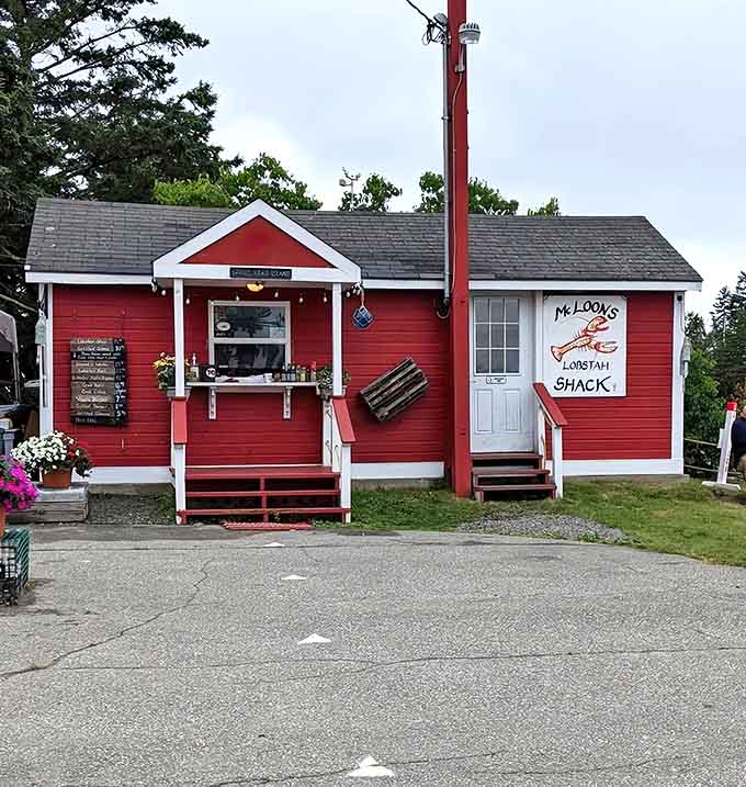 That cheerful red shack isn't just photogenic&mdash;it's your gateway to some of the finest lobster stew on the Eastern seaboard.