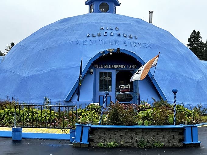 That giant blue dome isn't a UFO landing site, it's your gateway to blueberry paradise on Route 1.