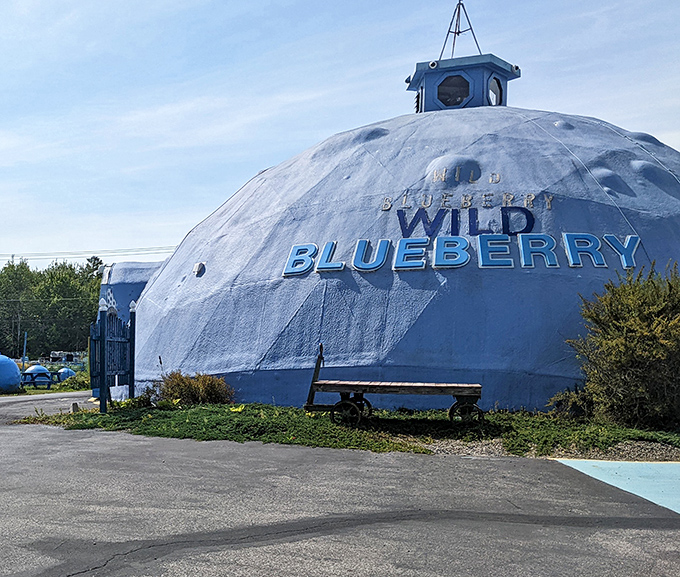 The iconic blue dome of Wild Blueberry Land stands proudly along Route 1, beckoning berry lovers with its unmistakable silhouette.