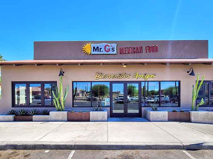 That cheerful sun logo promises warmth inside, and the food delivers on that promise in the most delicious way possible.
Vibrant colors and neon signs create an atmosphere that's both retro and welcoming, perfect for serious eating.
This menu reads like a greatest hits album of Mexican cuisine, with every option tempting you to order more.
Carne asada perfection wrapped in a tortilla, garnished beautifully, and ready to change your burrito standards forever.
Street corn done right: charred, creamy, tangy, and messy in all the best ways that make napkins essential.
Enchiladas swimming in sauce with melted cheese and olives, comfort food that hugs you from the inside out.
A tamale and taco combo plate with rice and beans proves variety is indeed the spice of life here.
Tender carne asada sliced and plated with rice, beans, and fresh toppings creates a feast for the eyes and stomach.
Sometimes a cold beer is the perfect companion to spicy, savory Mexican food, and this one looks particularly refreshing.
Margaritas with salt-rimmed glasses that promise the perfect balance of tart, sweet, and just enough tequila to matter.
The ordering counter with colorful neon signs and menu boards makes choosing your meal an exciting visual experience.
Bright dining spaces with comfortable seating invite you to settle in and take your time enjoying every bite.
A private party room with blue corrugated walls and string lights offers a festive space for special celebrations.
This vibrant mural celebrates Mexican culture and tradition, adding artistic flair to your dining experience with whimsical details.
The iconic Mr. G's sign with its sunburst design has become a beacon for burrito lovers throughout Yuma.