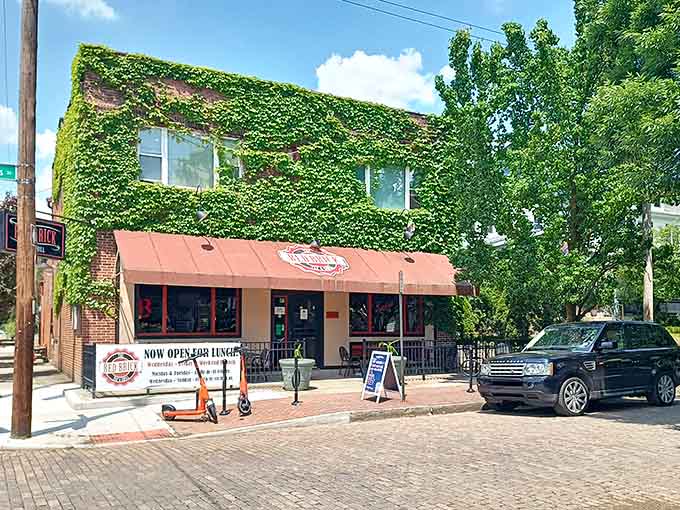 That ivy-covered facade isn't just pretty, it's basically nature's way of saying this place is worth your time and appetite.