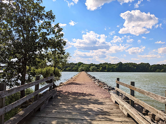 That wooden causeway stretching across Lake Shetek looks like the kind of path that leads to adventure, or at least to a really good picnic spot away from everyone else.