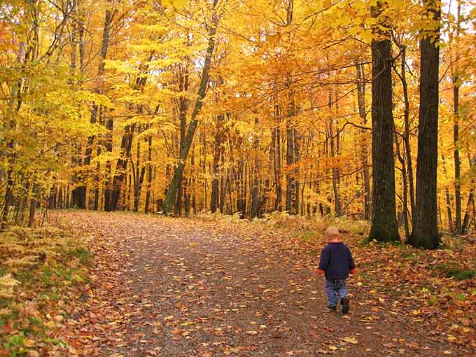 When Mother Nature decides to show off, this is what happens: pure autumn magic in every direction.