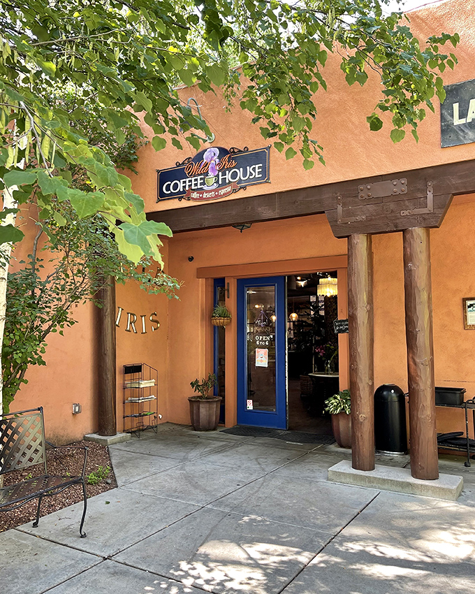 The warm terracotta exterior of Wild Iris Coffee House beckons with its bright blue door &ndash; like Arizona sunshine captured in adobe form.