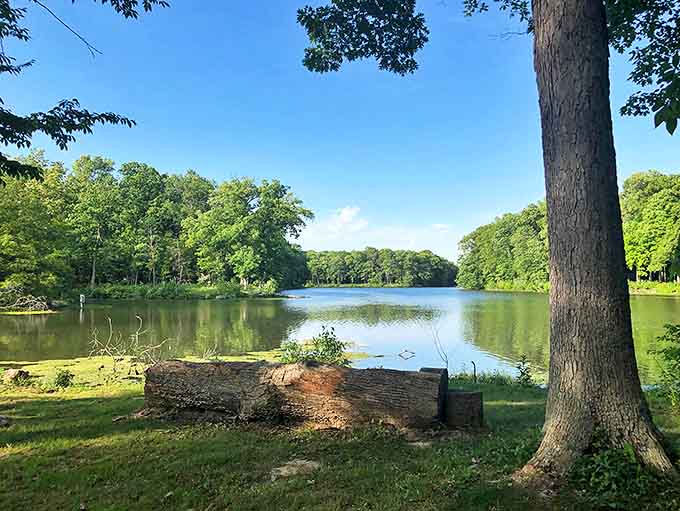 That moment when you realize paradise has been hiding in Illinois this whole time, just waiting for you to show up with a picnic basket.