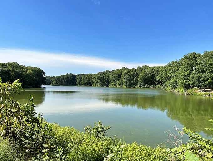 Classic Midwestern downtown architecture lines the streets where parking once means exploring for hours without moving your car again.