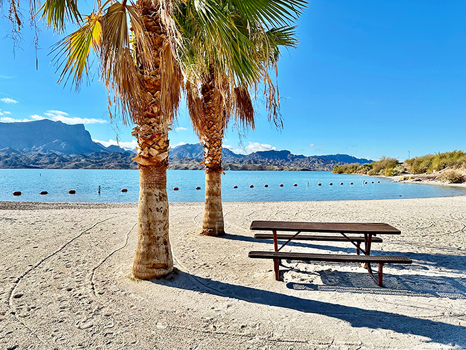 Palm trees standing sentinel over pristine beaches &ndash; Mother Nature's perfect contradiction at Cattail Cove State Park.