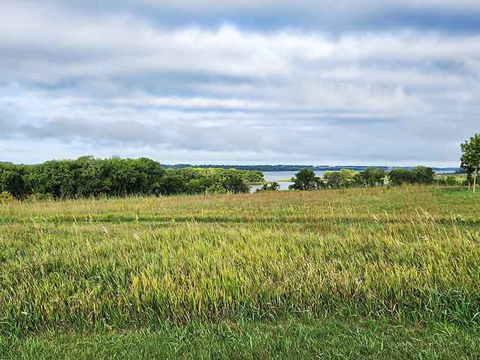Rolling prairies meet distant waters in this western Minnesota sanctuary where the horizon stretches like a promise of adventure and the grass whispers secrets to anyone patient enough to listen.