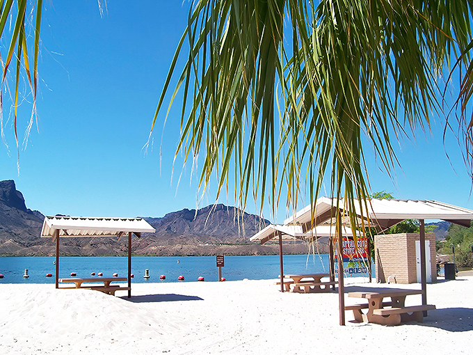 Pristine sandy shores meet crystal-clear waters at Cattail Cove State Park, where desert mountains create a dramatic backdrop for beach relaxation.