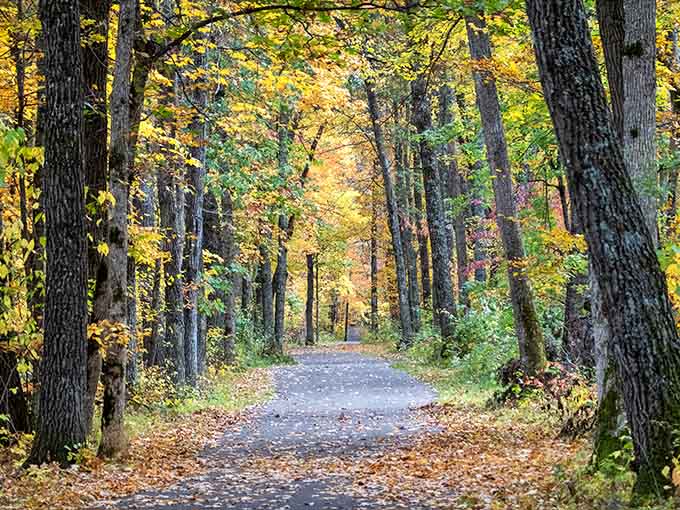 When the trail looks this inviting, turning back isn't really an option, is it?