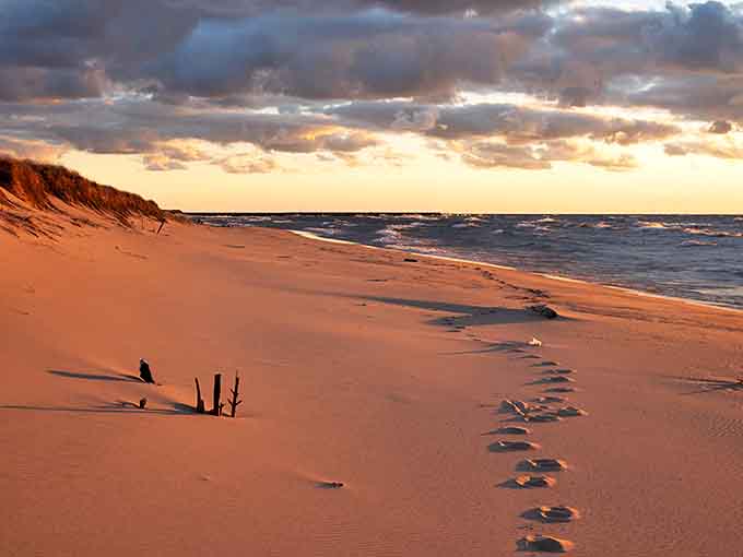 Windsnest Park: Where Lake Michigan whispers secrets to the shore, painting the sand with golden light that makes time stand still.