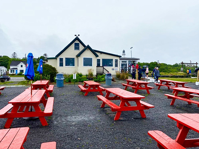 The quintessential Maine experience: bright red picnic tables facing the Atlantic, where seafood dreams and pie fantasies come true.