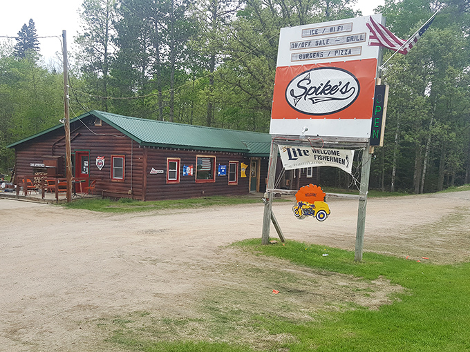 That rustic log cabin exterior with the green roof isn't trying to impress anyone, and that's exactly why it works so perfectly for what awaits inside.