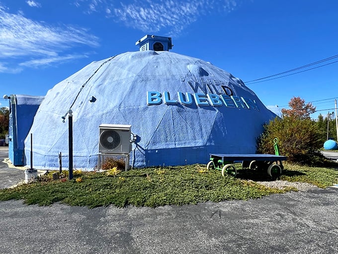 The unmistakable blue dome of Wild Blueberry Land stands proudly against the Maine sky, like a berry-themed spaceship that's found its perfect landing spot.