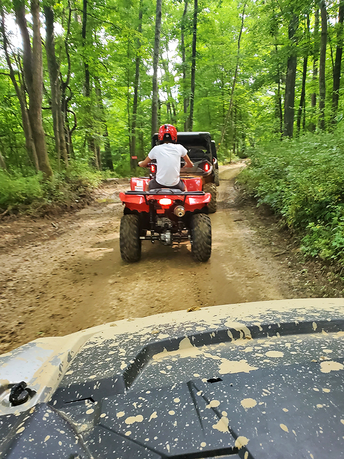 Following the leader down nature's roller coaster &ndash; these ATVs carve through forest trails like oversized, motorized woodland creatures.