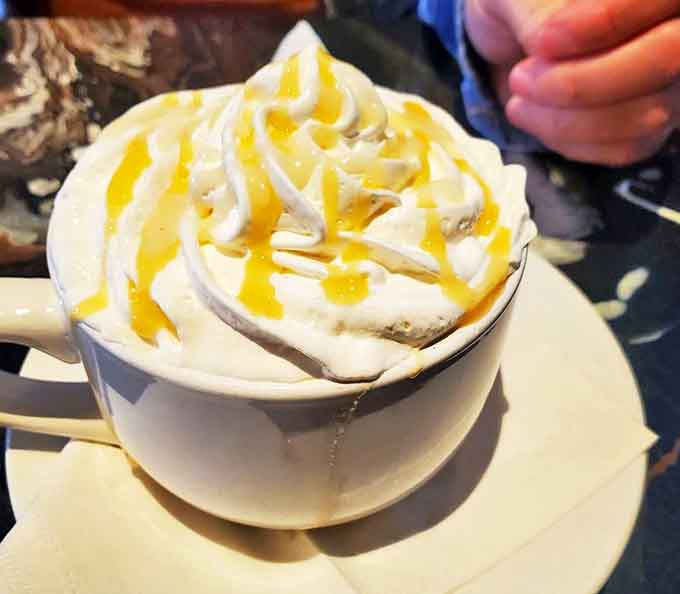 Hot chocolate topped with whipped cream and drizzle makes you feel like a kid again, minus the homework.