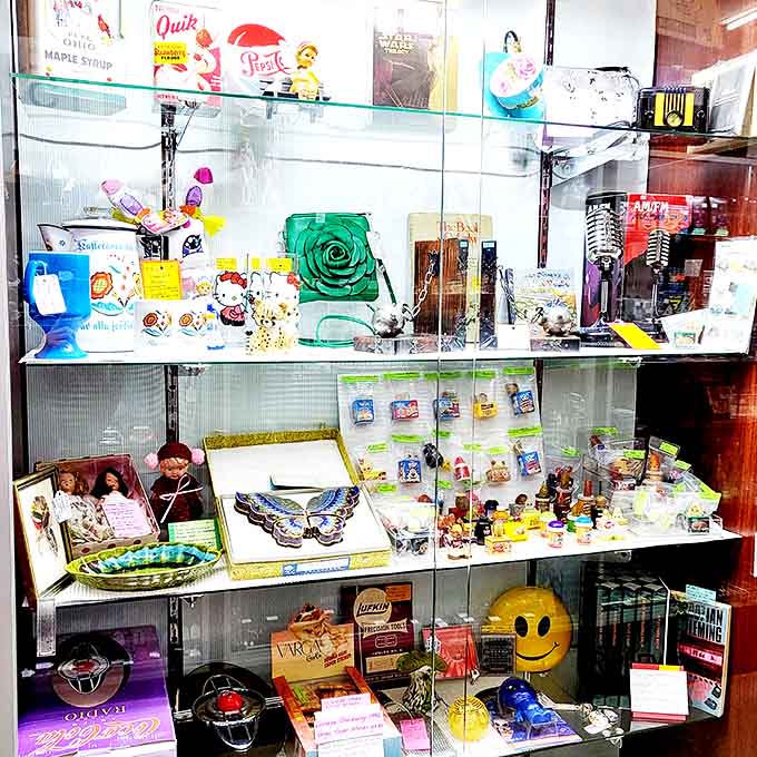 Tiny treasures under glass &ndash; from miniature figurines to vintage jewelry, these display cases hold worlds of wonder for the detail-oriented collector.