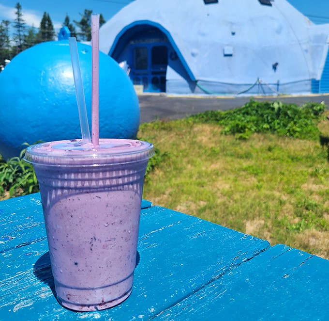 A refreshing blueberry smoothie offers the perfect cool-down on hot summer days, with the dome's distinctive silhouette in the background.