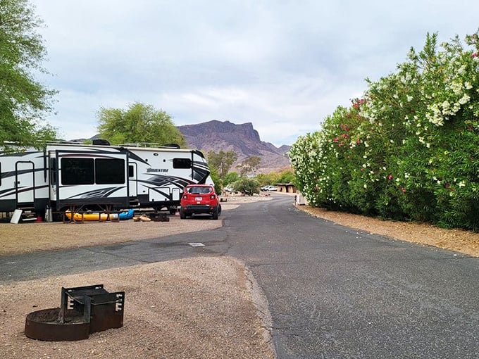 Campsites nestled among desert flora offer the perfect blend of civilization and wilderness. S'mores taste better with this view!