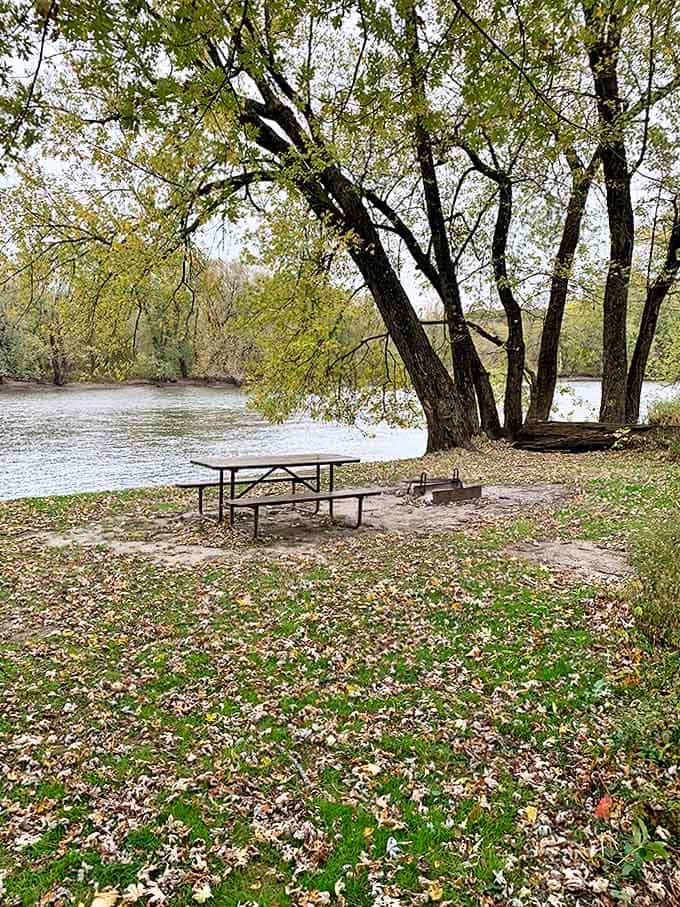 Riverside picnic spots offer front-row seats to nature's show, where the only entertainment you need is the gentle flow of water.