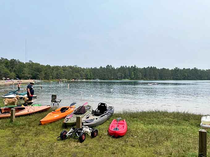 A colorful flotilla of kayaks awaits adventure-seekers, promising exploration of hidden coves and close encounters with Clear Lake's pristine shoreline.