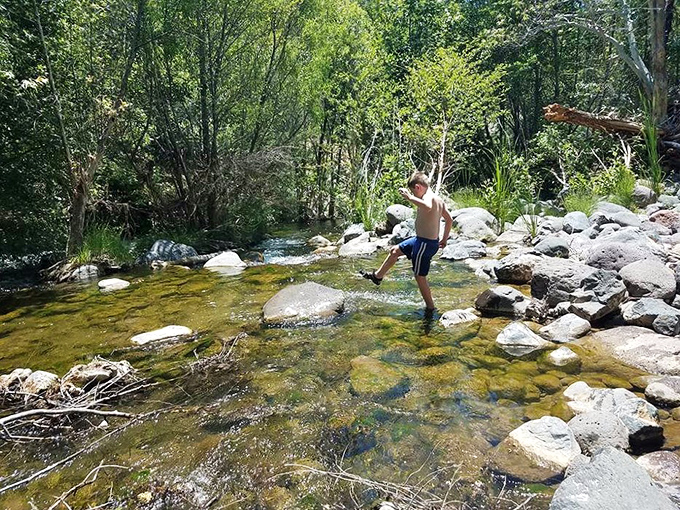 Nature's hopscotch course: A young explorer tests his balance crossing the shallow creek, each stone a stepping point to adventure.
