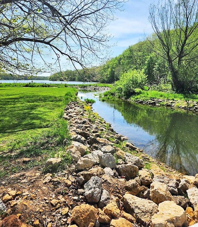 The creek meanders with purpose, its stone-lined banks telling geological stories to anyone patient enough to listen to water's ancient whispers.