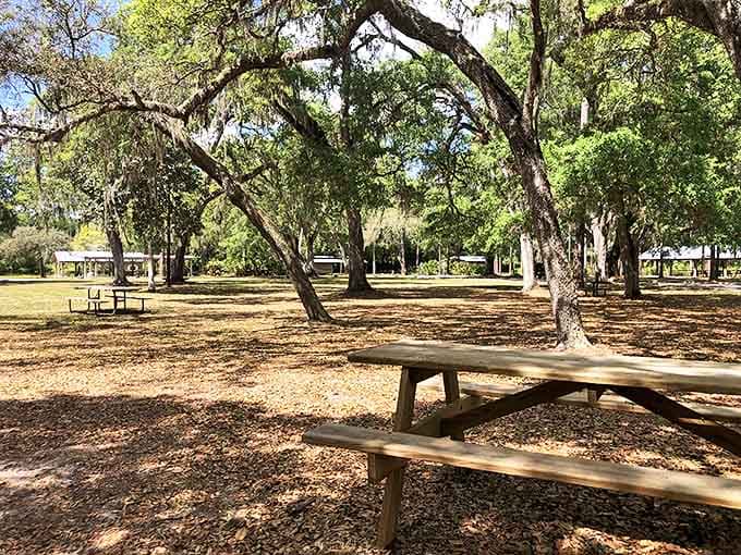 Picnic areas nestled among oak hammocks invite families to linger, turning a history lesson into a day-long adventure in Old Florida.