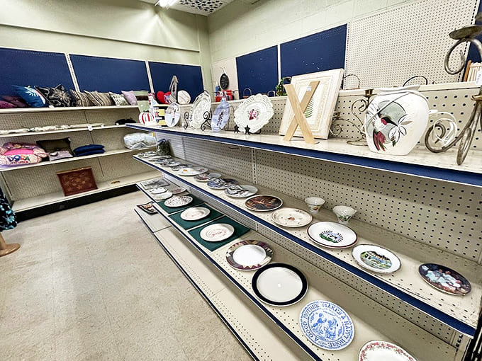 Decorative plates that once graced dining rooms and china cabinets wait patiently for new walls to adorn or tables to dress.