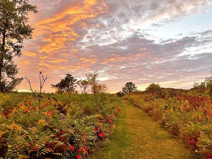 Sunset paints the prairie in impossible colors &ndash; Mother Nature's way of showing off her artistic side before calling it a day.