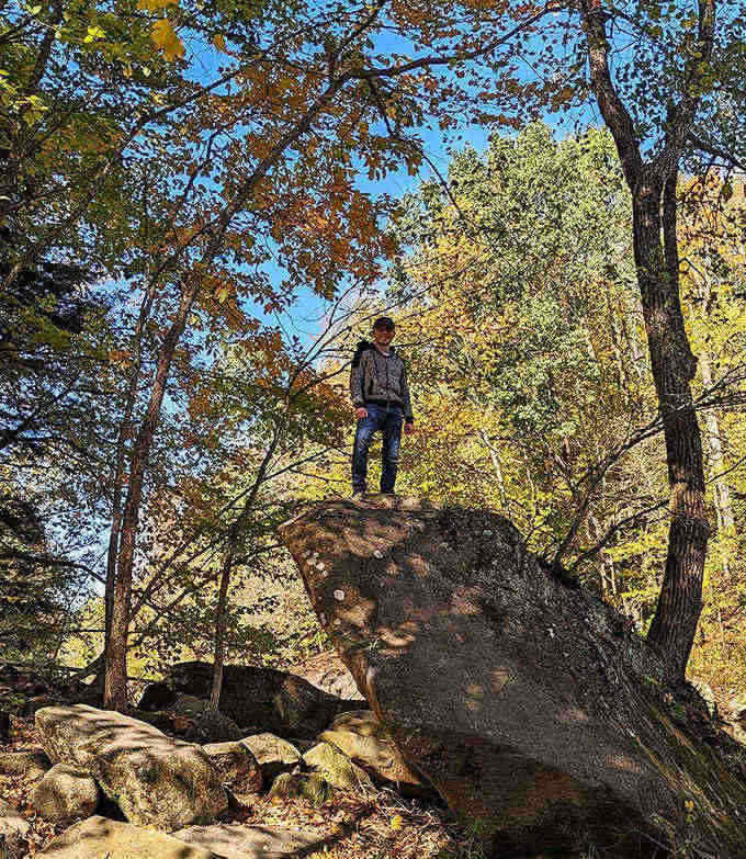 This impressive rock formation offers both a climbing challenge and a royal viewpoint for surveying the surrounding forest kingdom.
