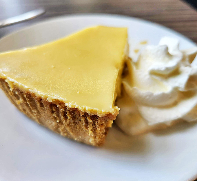 Key lime pie that captures Florida sunshine in every bite, with a dollop of whipped cream that's begging to be swiped by a curious paw.