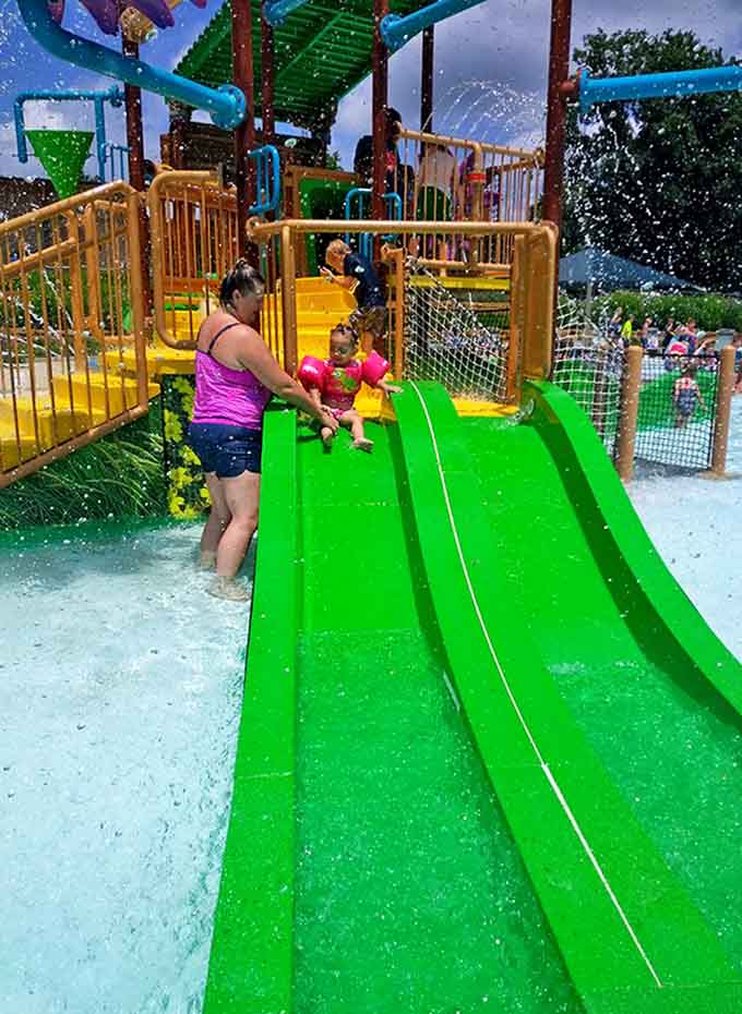 The kids' slides offer pint-sized thrills that are perfectly calibrated for little adventurers building their confidence.
