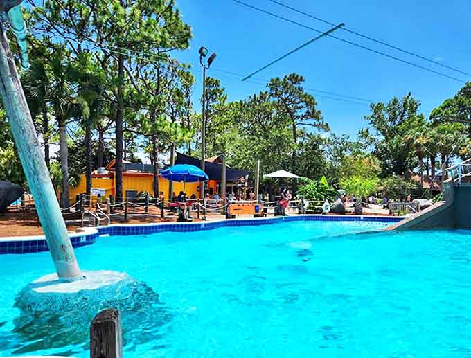 This tranquil lagoon offers a perfect respite from the more adrenaline-pumping attractions. Float, splash, or simply wade in its refreshing embrace.