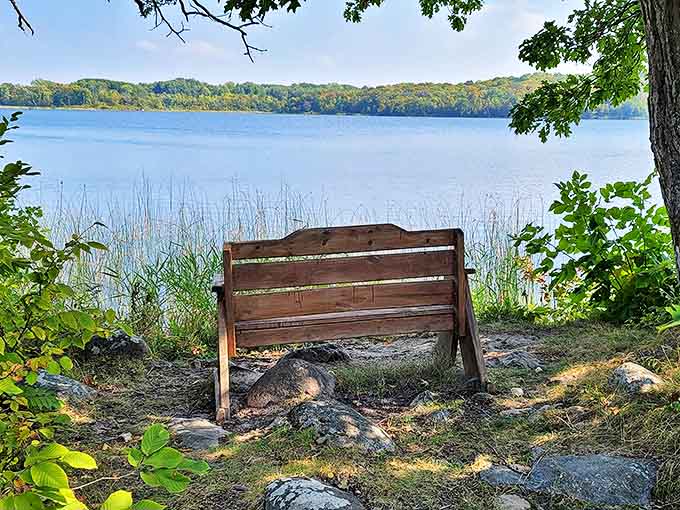 The best seat in the house &ndash; this weathered bench offers front-row tickets to nature's greatest show.