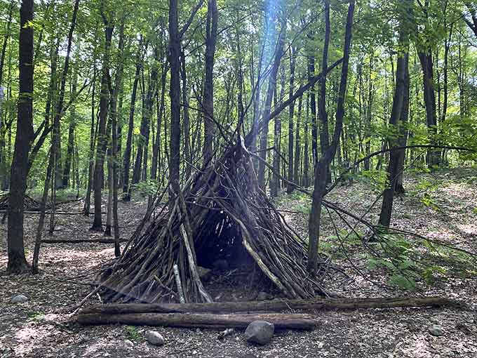 Someone's been watching too many survival shows, but honestly, this stick fort has better architecture than expected.