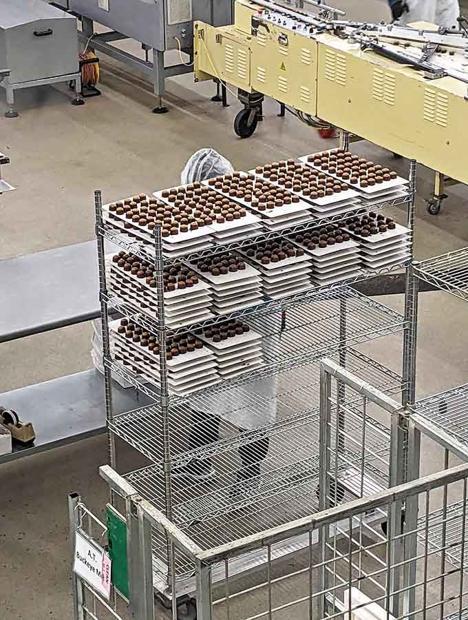 Precision in chocolate form &ndash; these perfectly aligned trays showcase the methodical artistry behind each handcrafted morsel awaiting its sweet destiny.