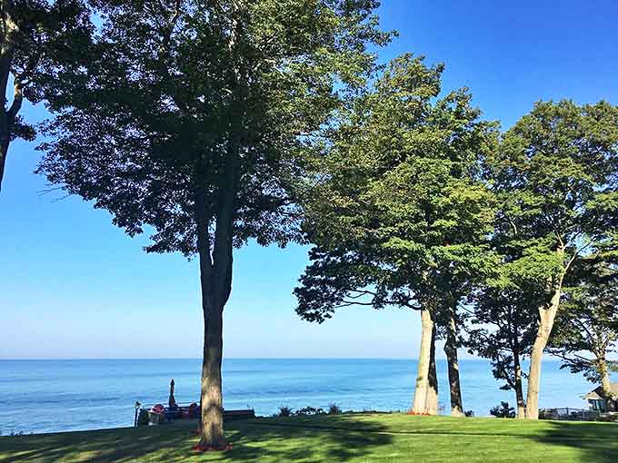Majestic trees frame the lake view, creating a natural picture frame that makes every photo look professionally composed.
