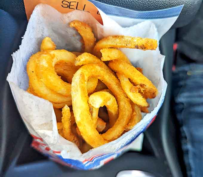 Crispy golden halos that crunch like autumn leaves &ndash; these aren't just side dishes, they're the supporting actors that steal the show.