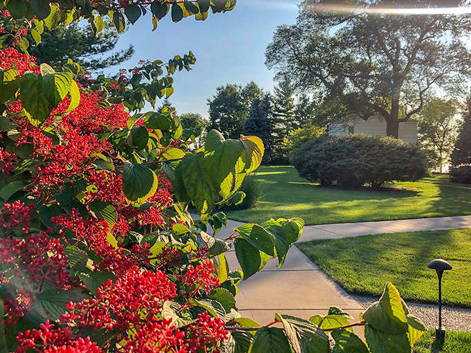 Victorian charm meets modern comfort in South Haven's historic neighborhoods, where wraparound porches practically beg for morning coffee.