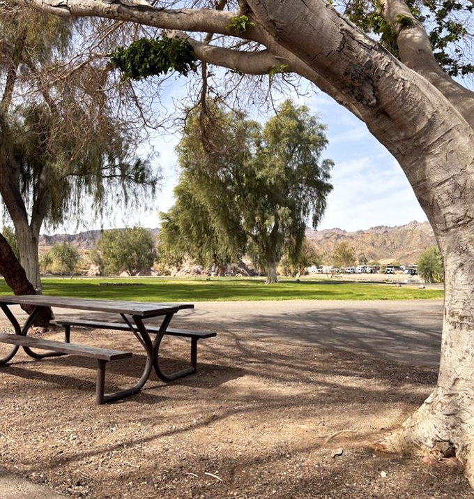 This shaded picnic spot practically begs for a leisurely lunch break, where conversations flow as easily as the nearby Colorado River.