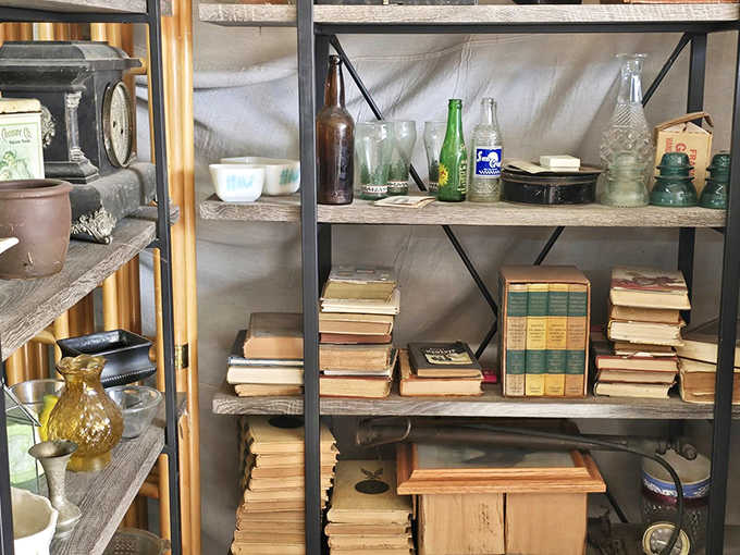 Weathered books and vintage bottles share shelf space, their spines and glass surfaces telling stories without saying a word.