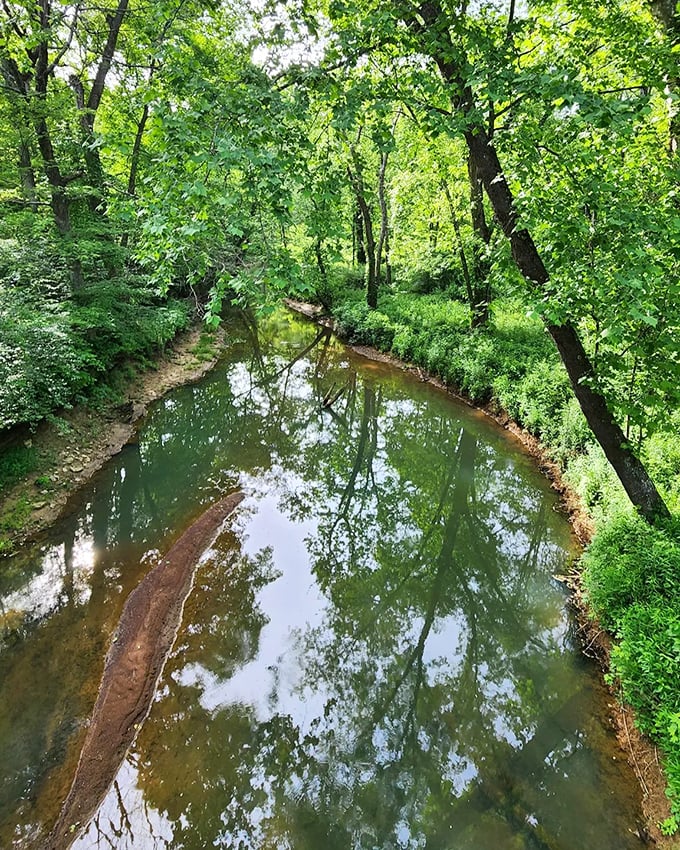 Raccoon Creek meanders alongside portions of the trail, its clear waters reflecting the canopy above in perfect symmetry.