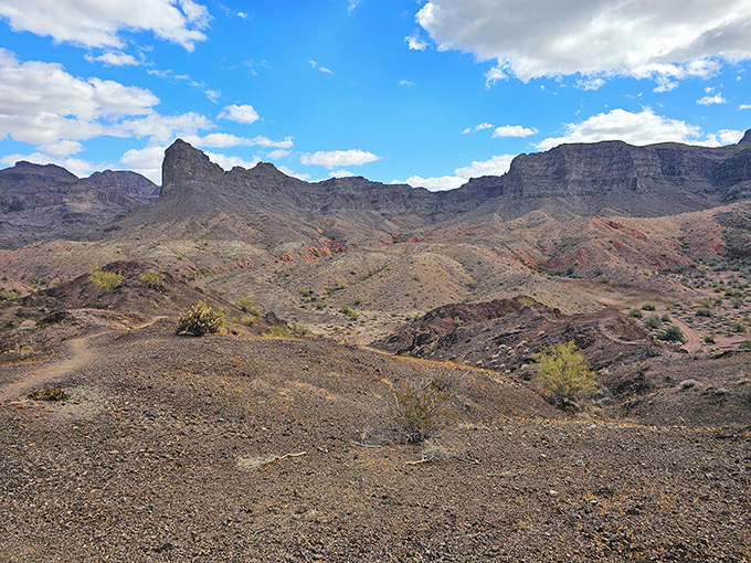 The desert's raw beauty on full display, where rocky terrain meets big sky country in a landscape that feels wonderfully untamed.
